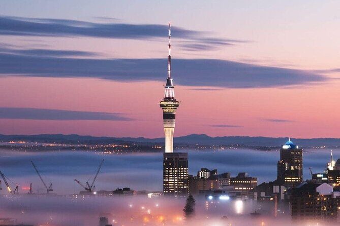 Private Transfer From Cruise Ships To Auckland CBD Hotels - Why Choose This Transfer Service?