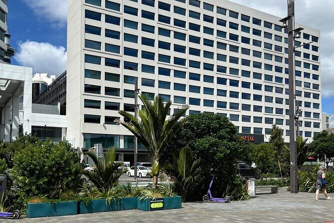 Private Transfer From Cruise Ships To Auckland CBD Hotels - Who Is This Transfer Service Best For?