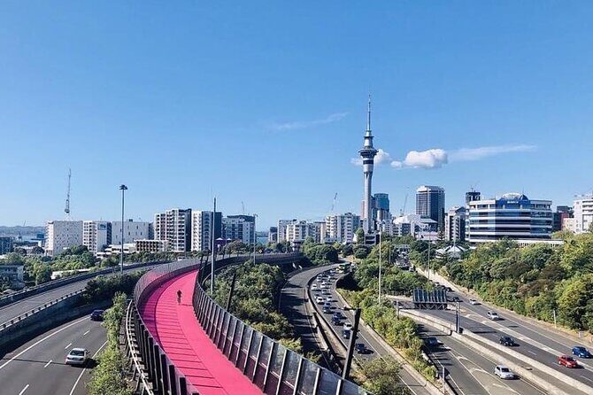Private Transfer From Cruise Ships To Auckland CBD Hotels - FAQs