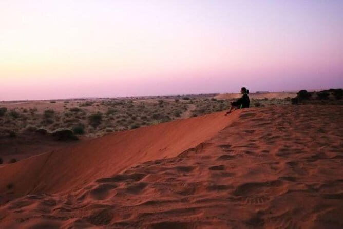 Private Transfer From Delhi To Mandawa - The Experience of Your Delhi to Mandawa Private Transfer