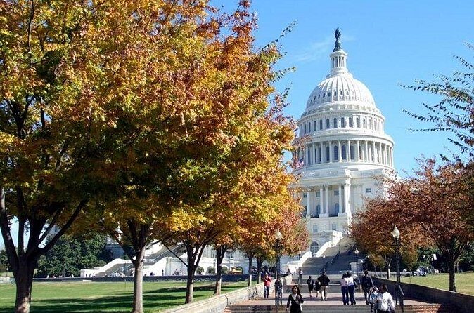 Private Transfer from Dulles Intl Airport to Washington DC - Real User Feedback