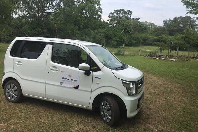 Private Transfer from Ella to Yala National Park - Key Points