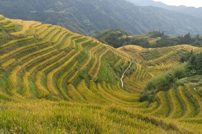 Private Transfer from Fenghuang to Guilin and stops at Longji Terraces - Who Would Love This Tour
