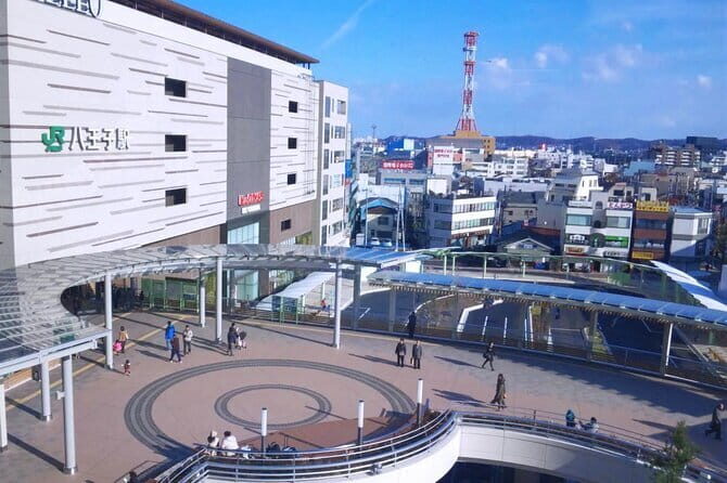 Private Transfer from Haneda Airport to Hachik City, Japan - Why Choose This Transfer?