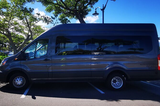 Private Transfer From Hotels in Waikoloa & Waimea to Kona International Airport - The Sum Up: A Dependable Choice for a Stress-Free Departure