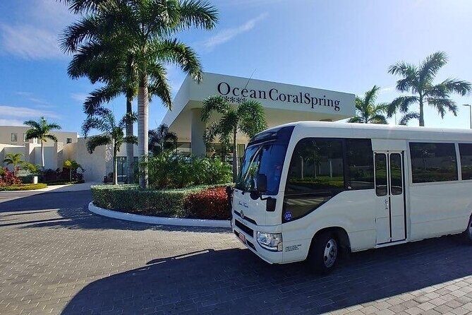 Private Transfer From Kingston Airport To Kingston Hotel One Way - What to Expect from the Transfer Service