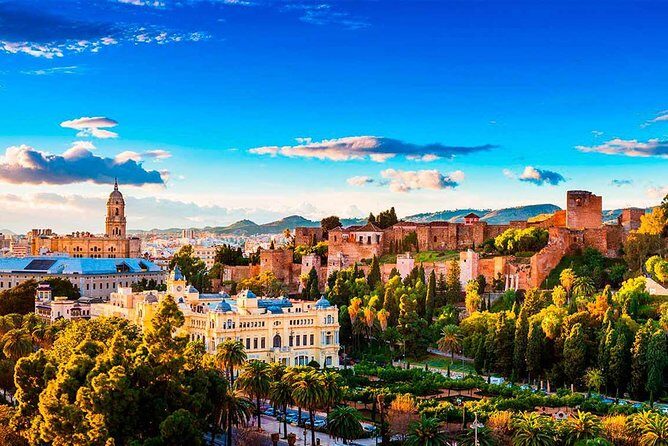 Private Transfer from La Herradura to Malaga (AGP) Airport - Vehicle Options and Comfort