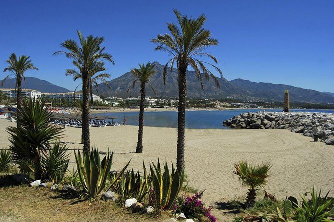 Private Transfer from La Herradura to Malaga (AGP) Airport - Why Choose This Service?