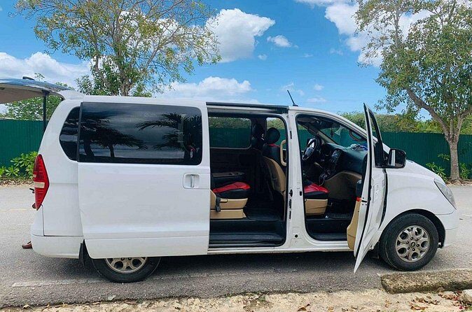 Private Transfer from Las americas Airport to Punta Cana - What Travelers Are Saying
