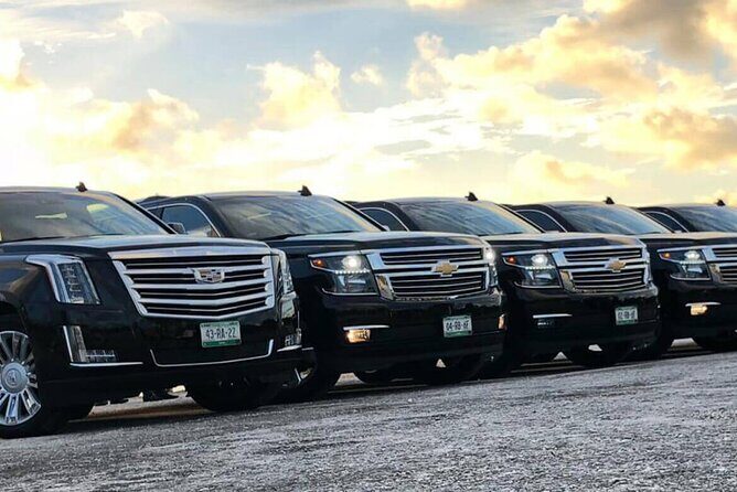 Private Transfer From LAX with Professional Chauffeur - Who Would Enjoy This Service?