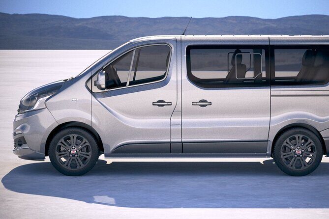 Private Transfer from Lourdes Airport LDE to Lourdes City by Van - The Driver Experience and Reviews