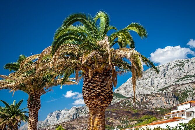 Private Transfer from Makarska to Dubrovnik with 2h Sightseeing, local driver - Who This Tour Is Best For