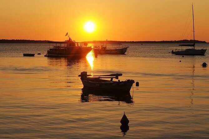 Private Transfer from Makarska to Dubrovnik with 2h Sightseeing, local driver - Vehicle Options and Flexibility