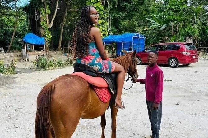 Private Transfer from Montego Bay to Dunns River Falls - The Real Value: Why Choose This Transfer?