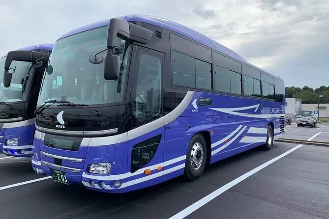Private Transfer from Narita Airport to Ibaraki City Japan - The Sum Up