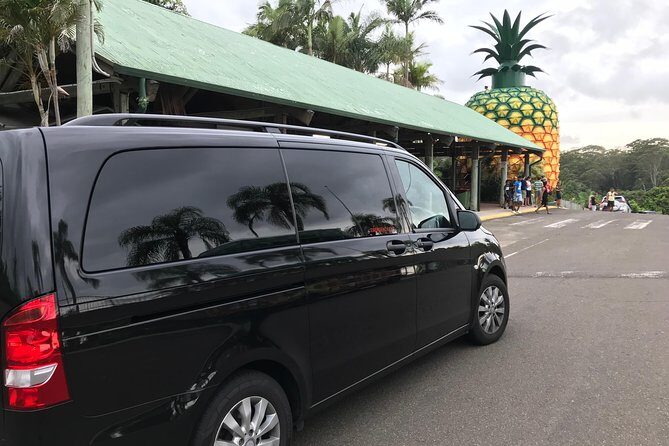Private Transfer from Noosa to Sunshine Coast Airport up to 3 pax - Who Is This Transfer Best For?