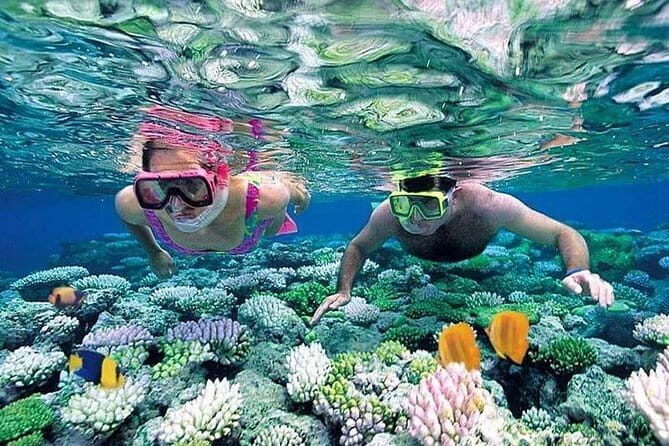 Private Transfer from or to Cam Ranh Airport and Nha Trang City - Final Thoughts