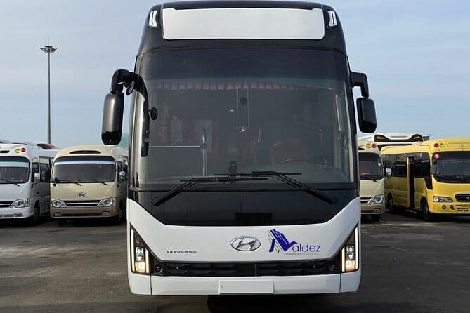 Private Transfer From or to Punta Cana Airport to hotels in Bávaro - The Sum Up