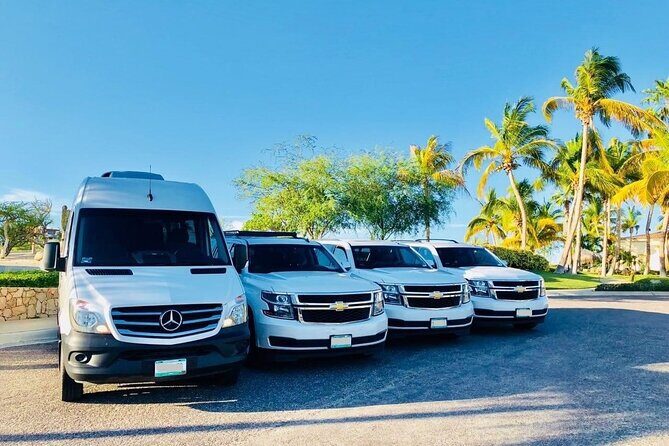 Private Transfer from Perth City Hotels to Fremantle Cruise Port - Who Will Benefit Most?