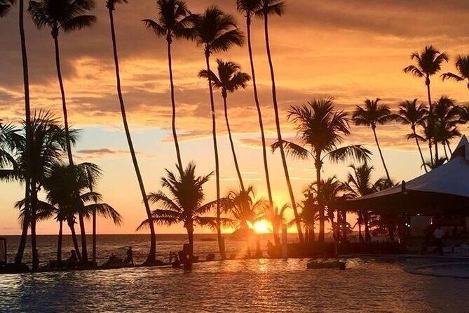 Private Transfer From Punta Cana Airport to Cap Cana, Cabeza de Toro and Bavaro - What to Expect Upon Arrival