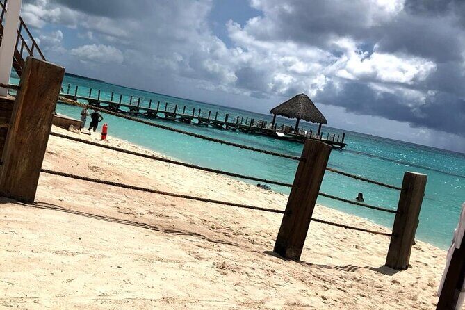 Private transfer from Punta cana hotels Bayahibe la Romana - Detailed Review of the Private Transfer Experience