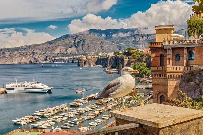 Private transfer from Rome to Sorrento - Frequently Asked Questions