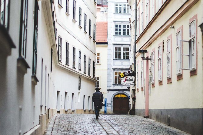 Private transfer from Salzburg to Vienna with 4h of Sightseeing - Vehicle and Driver Experience