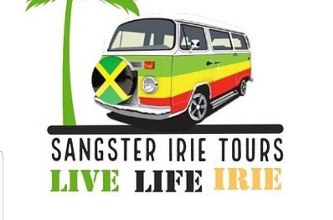 Private Transfer From Sangster International Airport to Montego Bay Resorts - Additional Considerations