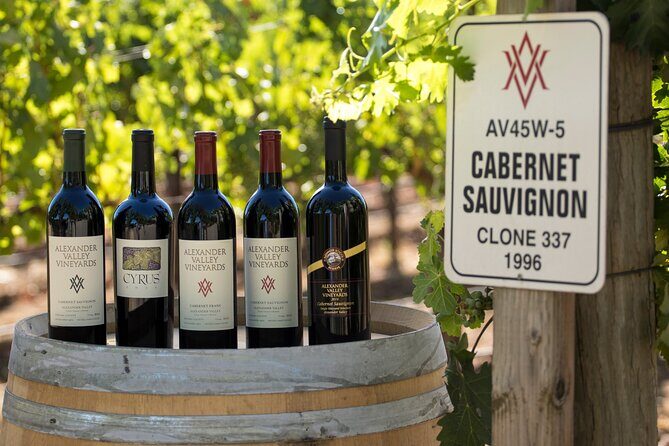 Private transfer from SFO to or from Healdsburg - Final thoughts