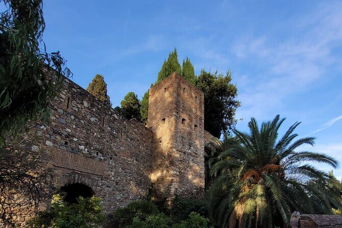 Private Transfer From Sorrento to Naples - Real Travelers’ Perspectives