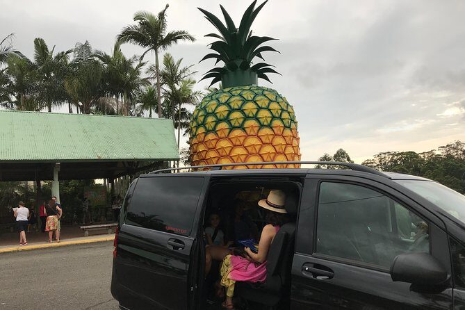 Private Transfer from Sunshine Coast Airport to Noosa up to 3 pax - FAQs