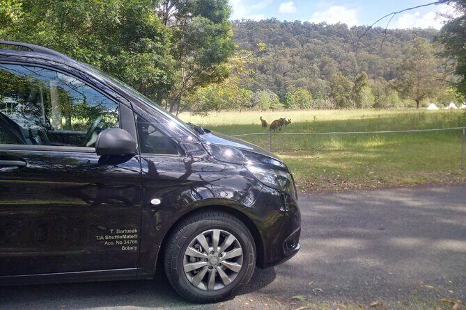 Private Transfer FROM Sydney CBD to Sydney Airport 1 to 5 people - The Sum Up: Who Should Consider This Service?