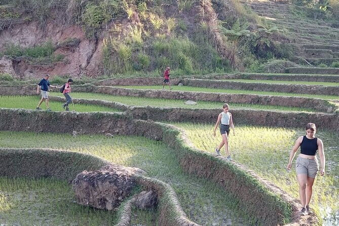 Private Transfer from Tambolaka Airport (TMC) to Lelewatu Resort Sumba - Final Thoughts