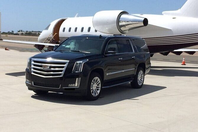 Private Transfer from Tampa Bay Cruise Port to Tampa Airport(TPA) - What You Can Expect from Your Private Transfer
