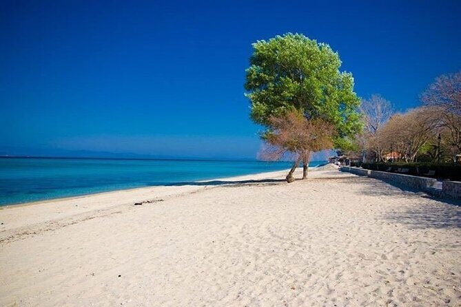 Private Transfer from Thessaloniki Airport to Sani Resort - The Review from Travelers