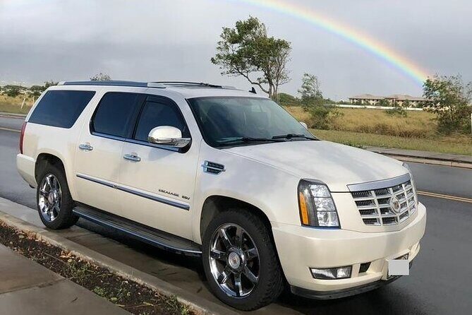 Private Transfer from to Kona Airport (KOA) to Hilo Cruise Port - Authentic Experiences and Real Traveler Comments