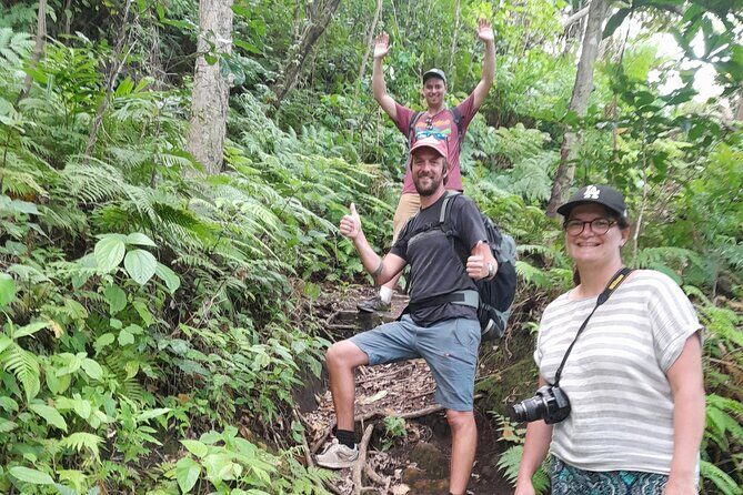 Private Transfer from/to White Grass Airport, Tanna Island. - Authentic Experiences and Traveler Insights