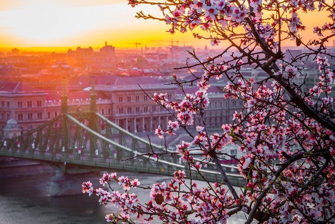 Private Transfer from Vienna to Budapest with 2 hours for sightseeing - FAQ