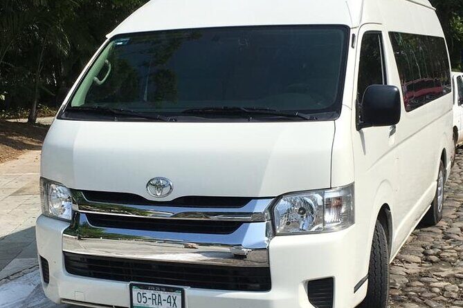 Private Transfer from Zihuatanejo Airport to Zihuatanejo - Who Should Consider This Service?