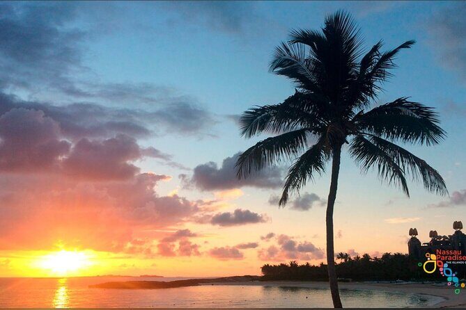 Private Transfer in Nassau (Baha Mar and Surrounding Hotel) - Who should book this?