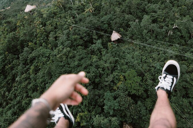 Private Transfer in Punta Cana, Hotels and Airport - An In-Depth Look at the Private Transfer Experience in Punta Cana