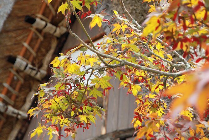 Private transfer Kanazawa to Takayama Including Shirakawago - Practical Details and Tips