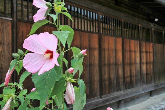 Private transfer Kanazawa to Takayama Including Shirakawago - Who Would Benefit Most from This Tour?