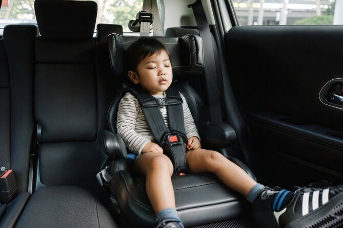 Private Transfer Kansai International Airport KIX to Kyoto - Vehicle and Comfort