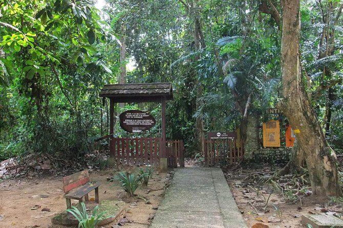 Private Transfer: Kuala Lumpur to Taman Negara National Park (Kuala Tahan Jetty) - Real Traveler Perspectives