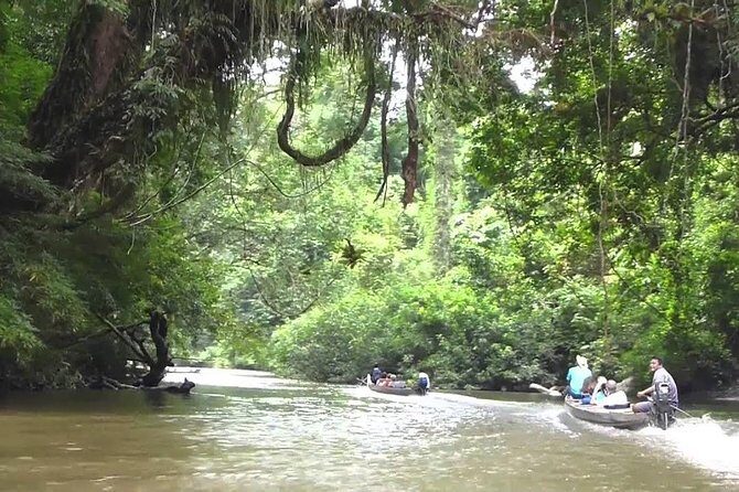 Private Transfer: Kuala Lumpur to Taman Negara National Park (Kuala Tahan Jetty) - FAQ