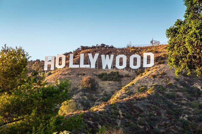 Private Transfer: LAX Airport to Anaheim Resort Area in SUV - Introduction