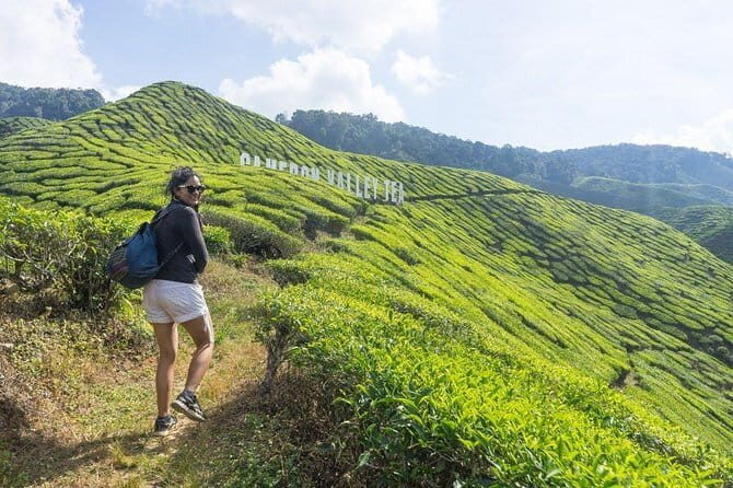 Private Transfer : National Park Kuala Tahan to Cameron Highlands - FAQs