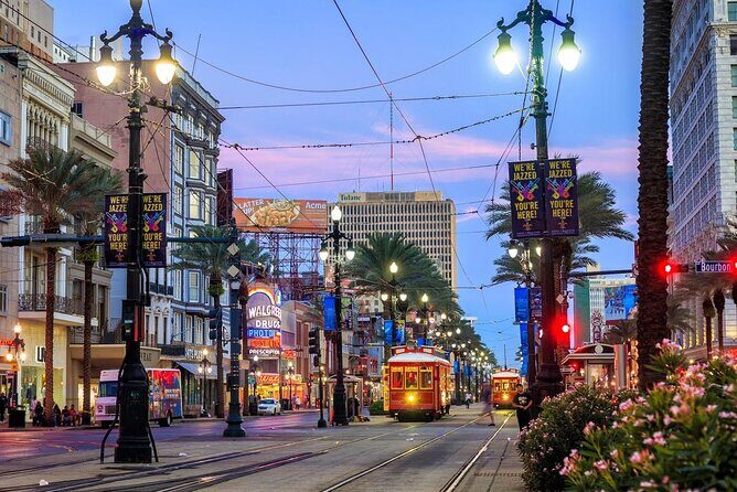 Private Transfer New Orleans Airport MSY to New Orleans Downtown - Luggage Considerations