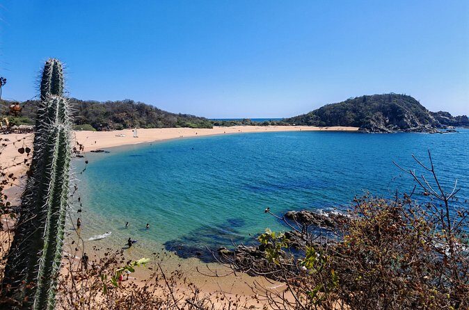 Private Transfer Oaxaca Centro and Mazunte or San Agustinillo - Practical Tips for Booking and Traveling